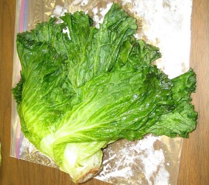 Can You Freeze Lettuce? | Food Pyramid